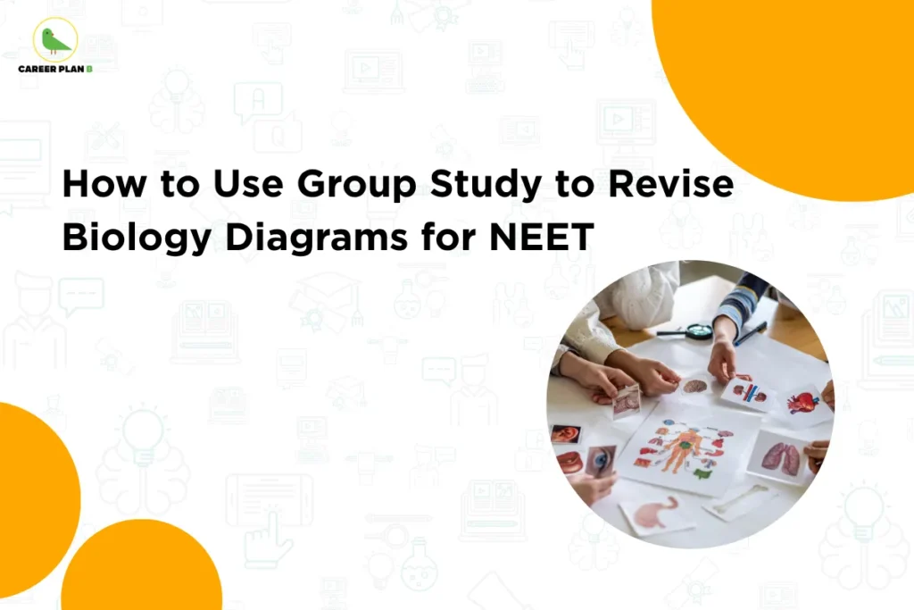 Group Study for NEET Biology: Revise Diagrams Faster - Career Plan B